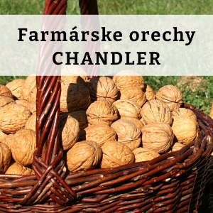 Podunajské orechy - Orechy v škrupine